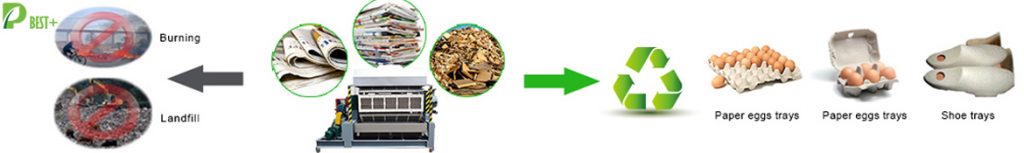 Pulp Flower Plot 102 – Pulp Packaging Manufacturer Pulp Egg Cartons ...