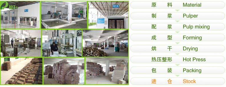 White Pulp Packaging 101 – Pulp Packaging Manufacturer Pulp Egg Cartons ...