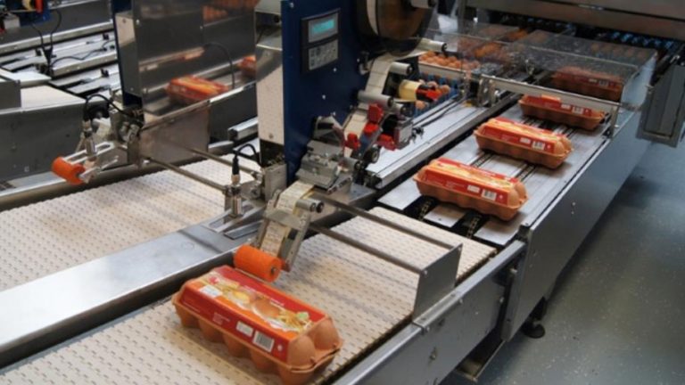 Egg Carton Manufacturers – Pulp Packaging Manufacturer Pulp Egg Cartons ...