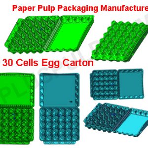 New Design Pulp Egg Cartons – Custom Pulp Packaging Manufacturer Pulp ...