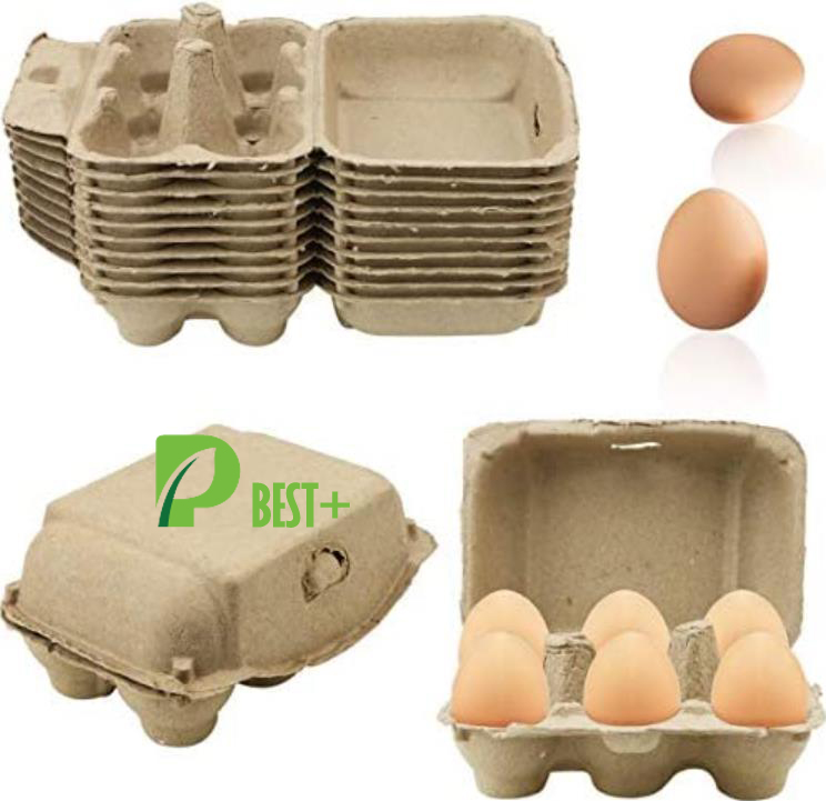 June 2023 – Pulp Packaging Manufacturer Pulp Egg Cartons, Egg Boxes ...