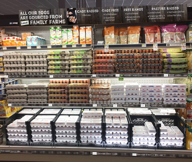 Pulp Egg Case Manufacturer – Pulp Packaging Manufacturer Pulp Egg ...